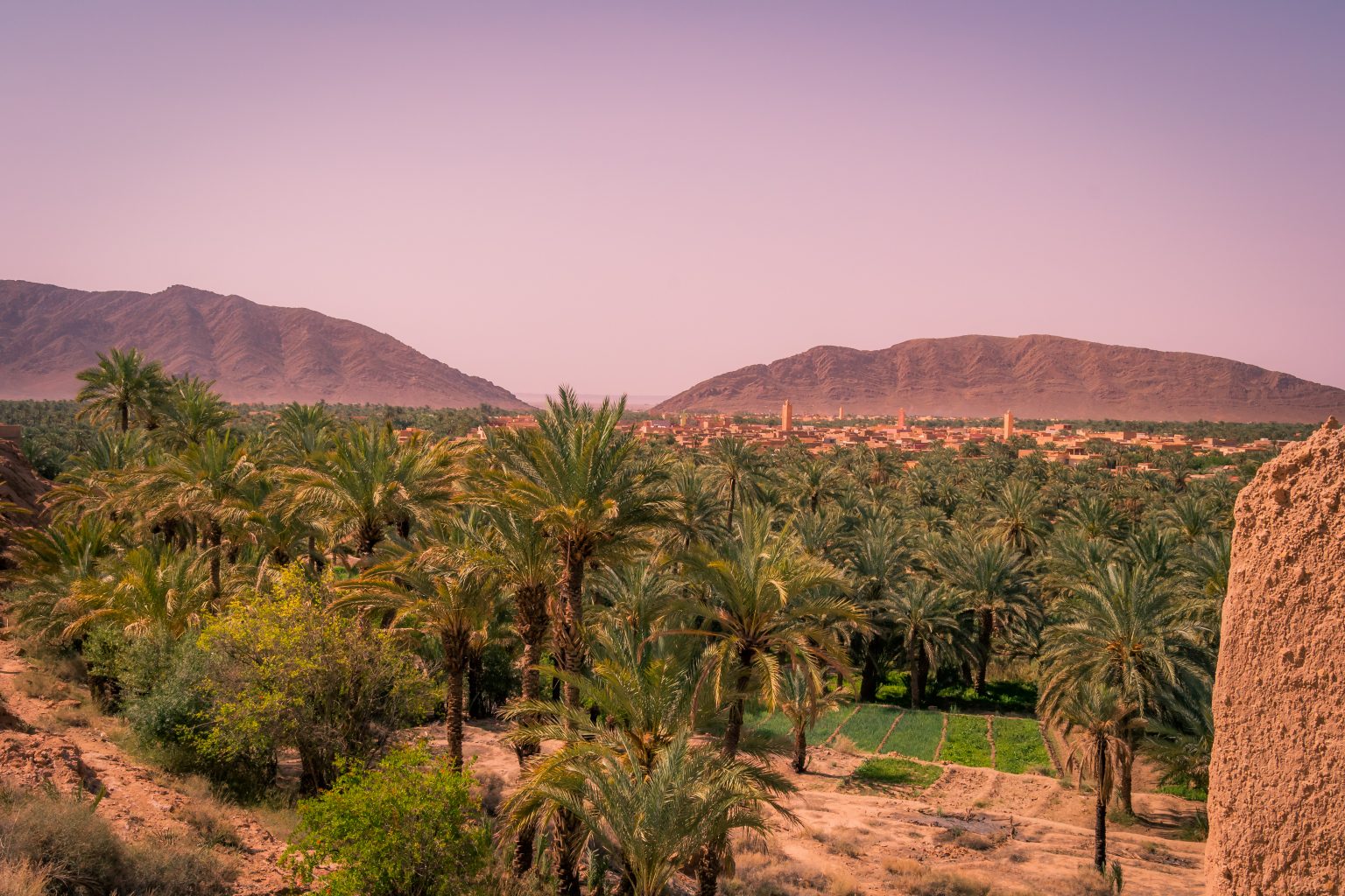 Oasis of Figuig – Heritage Portal